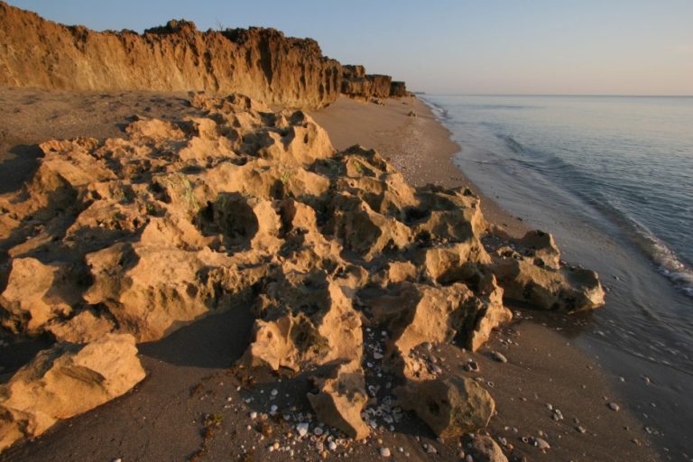 JupiterIsland.com - Jupiter Island, Florida