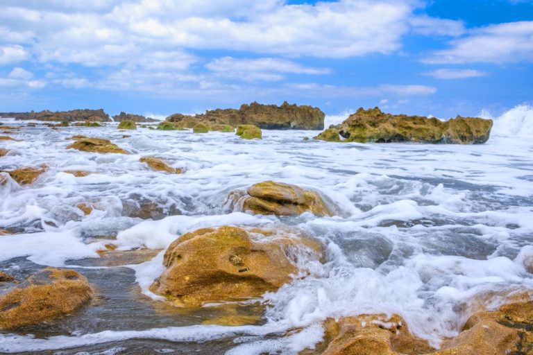 Blowing Rocks Preserve - JupiterIsland.com